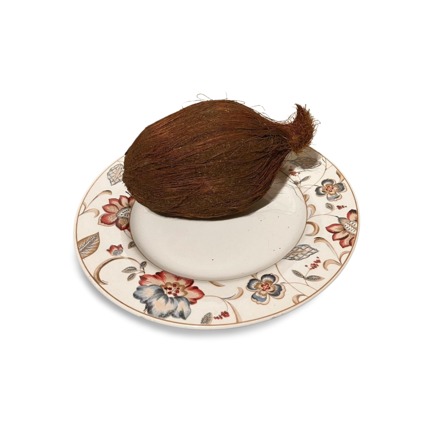 Coconut | Theatre Props Hire | Small Props & Set Dressing
