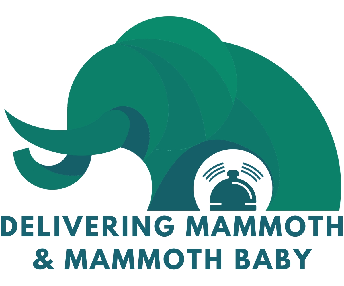 Baby Gear By Category | Mammoth Baby - Delivering Mammoth