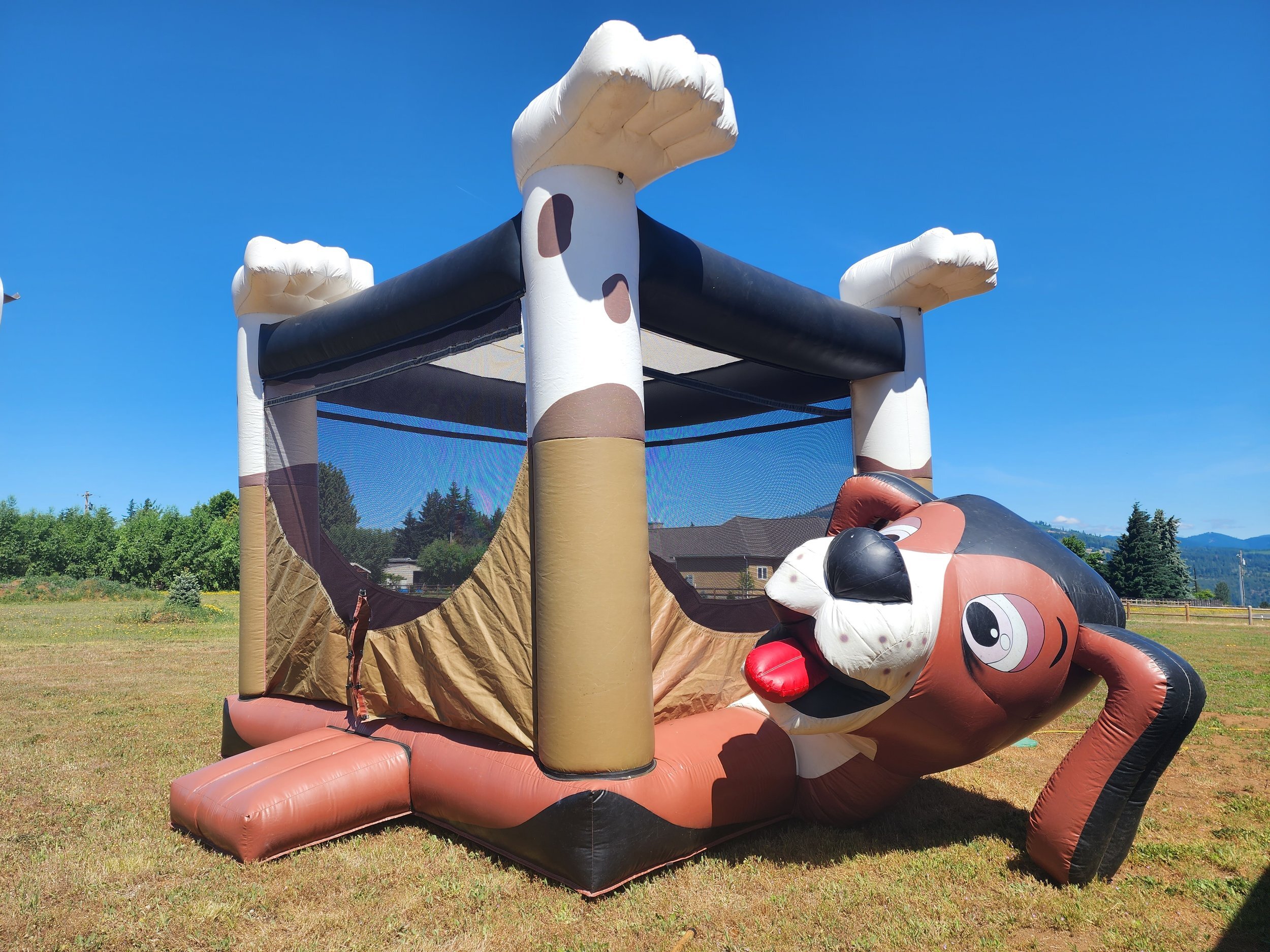 Happy dog bouncer | Party Masters, circus aerial school & party rentals