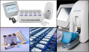 VerePLEX | www.br-rent2u.today