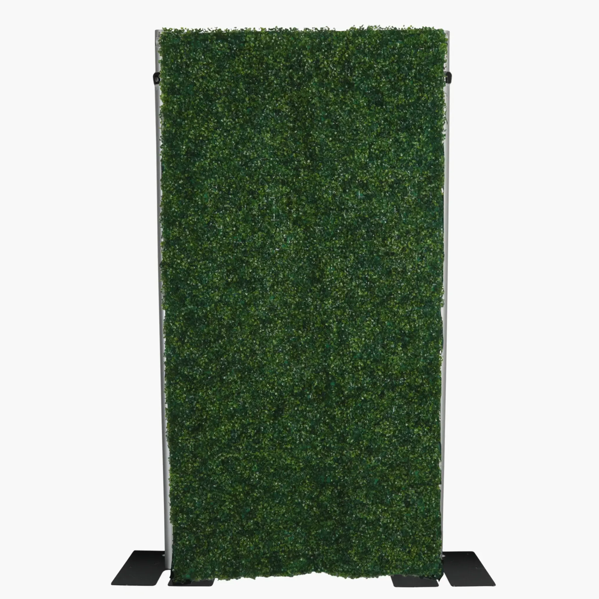 Boxwood Greenery Wall Backdrop 8ft x 4ft | OCCASIO Event Rentals