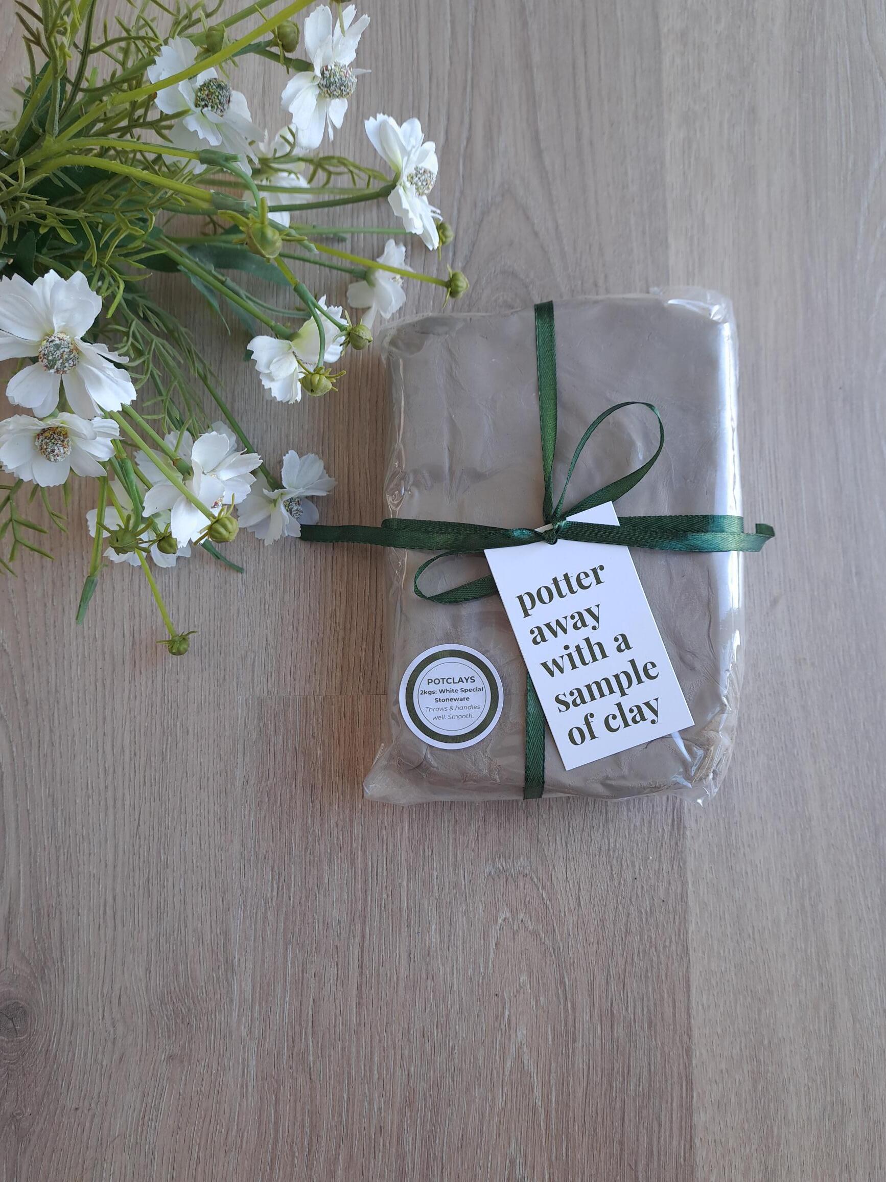 Potclays White Special Stoneware in a 2kg sample pack | Rent a Nidec ...