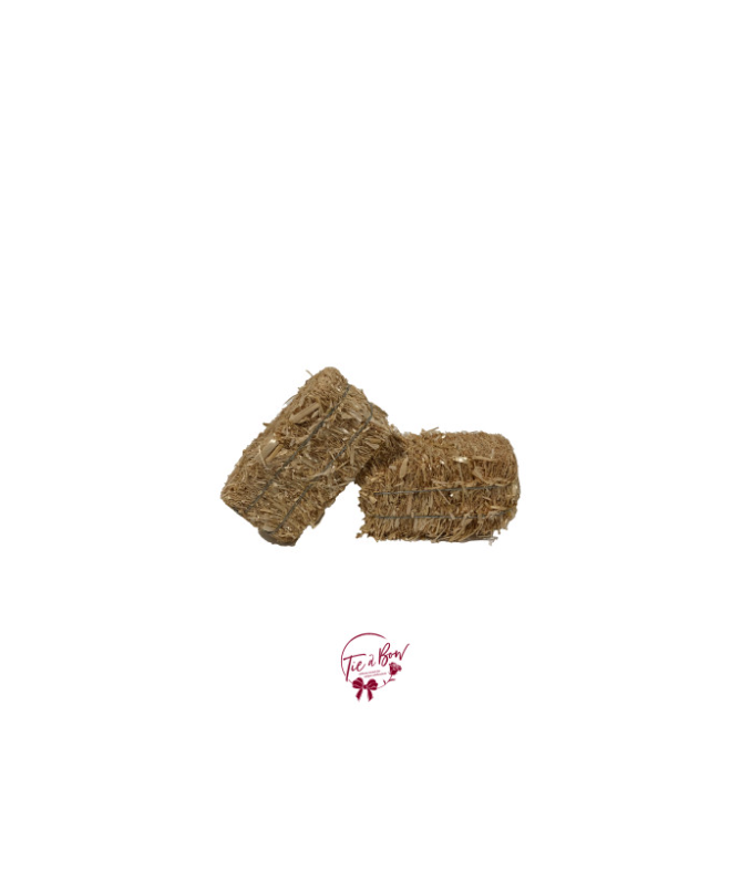 Hay Bale (Mini) Set of 2 | Tie a Bow Rentals