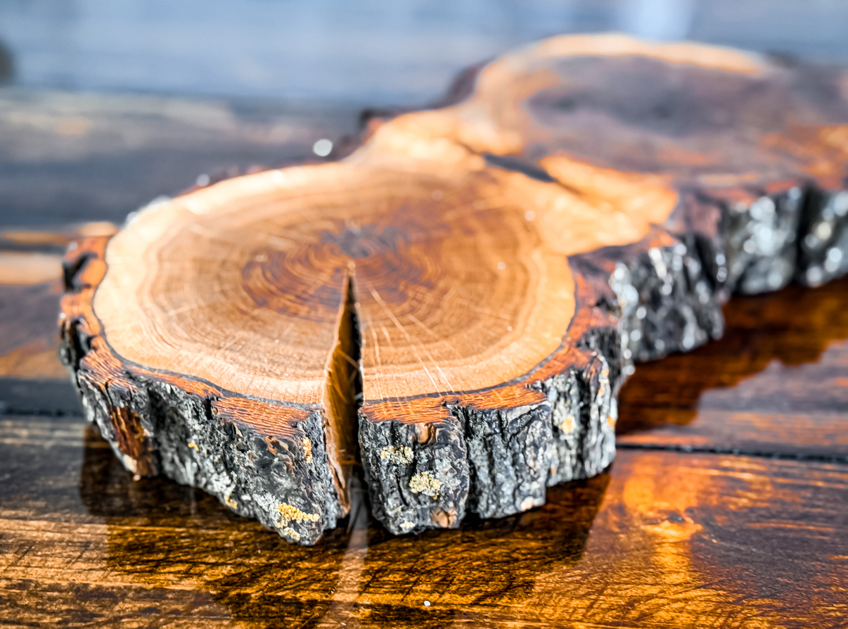 Natural Wood Slab | Knot & Timber Rentals