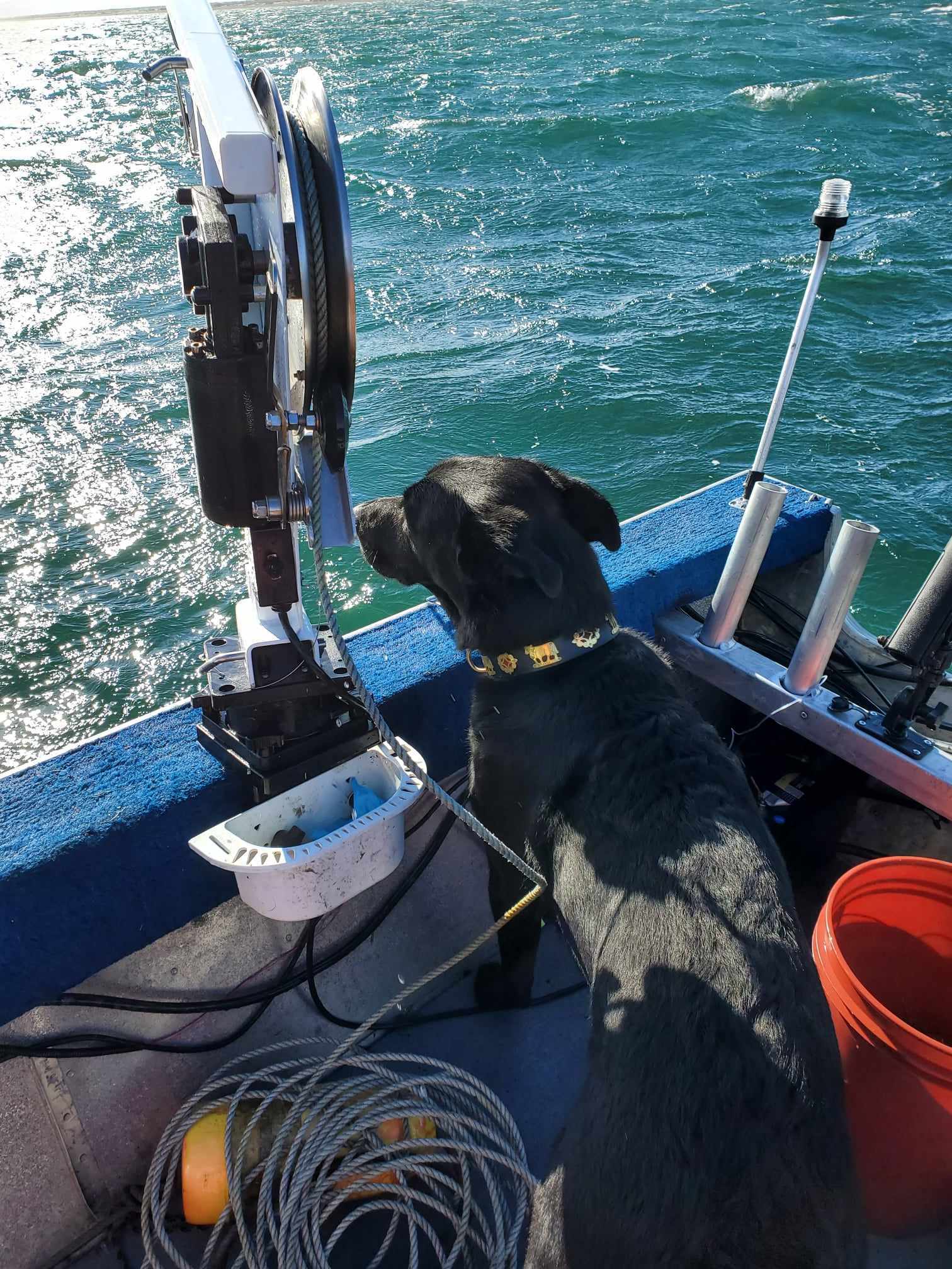 Electric Pot Puller | Wet Dog Boats LLC
