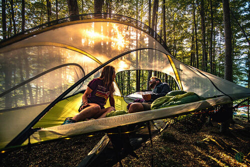 tree camping tent