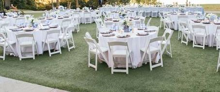 40 Guest Package - Wedding Reception (Specify Linen Colors) | Gruene ...