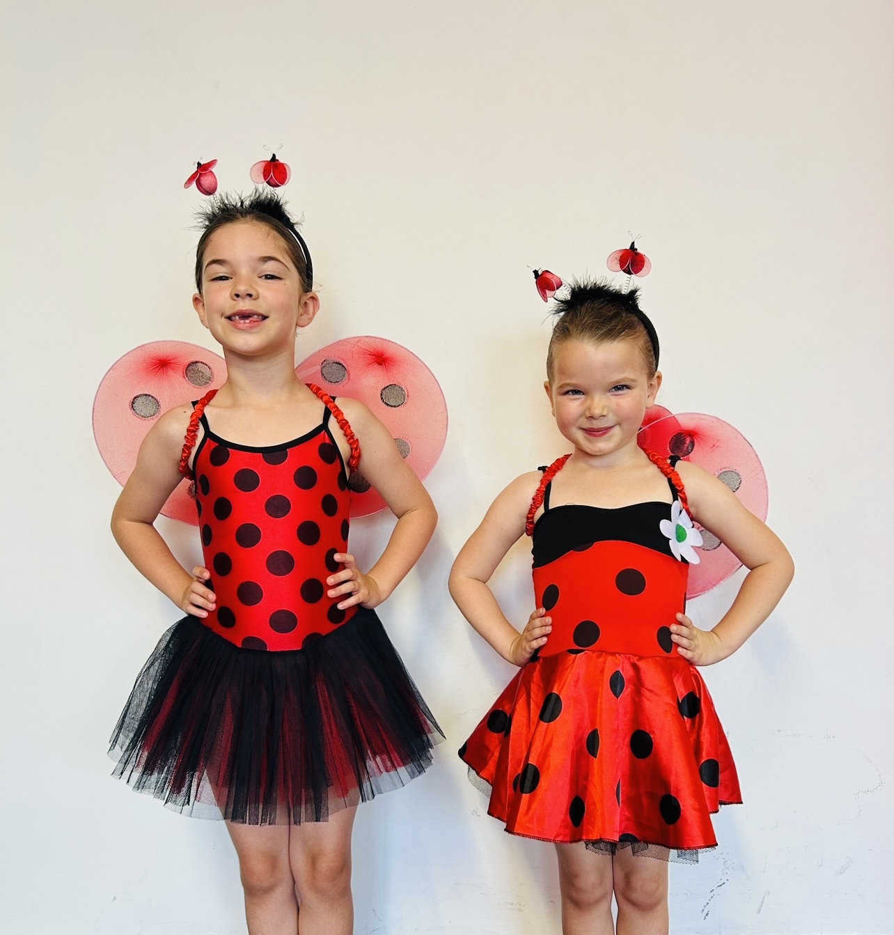 BL158 - LADYBIRD (with wings) | B'Loved Dance Costume Hire