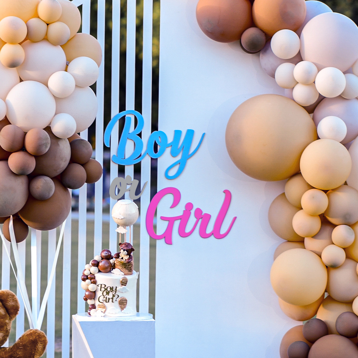 Gender Reveal Boy or Girl Signage | Fari Arts