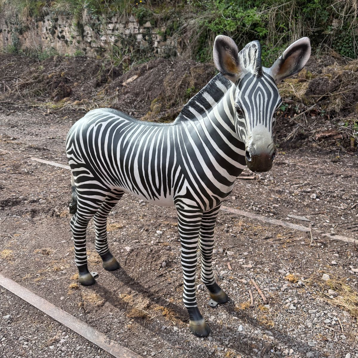 Jungle Zebra Statue Fore Hire Enchanted Events Bristol | Enchanted ...